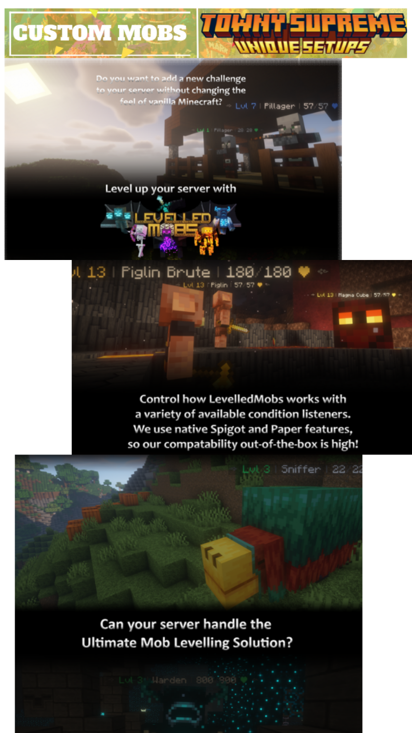 Towny Supreme Server Setup Minecraft Map