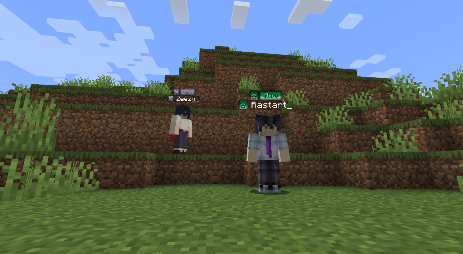 Rank Tags and Icons on Polymart - Minecraft Resource packs