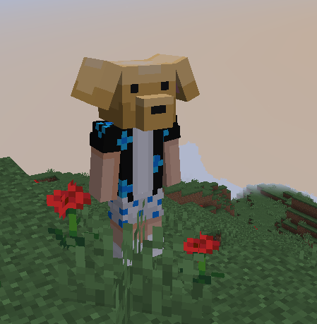 Hat Cosmetics v1 on Polymart - Minecraft Models