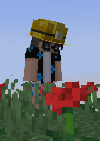 Hat Cosmetics v1 on Polymart - Minecraft Models