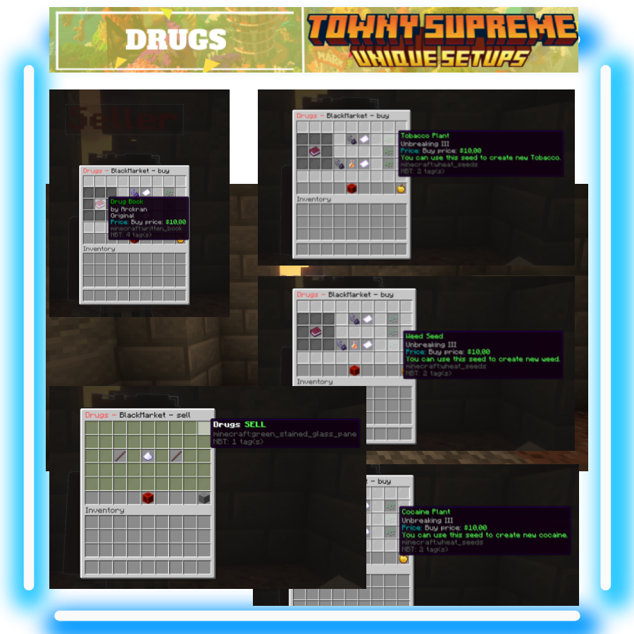 Towny Supreme Server Setup Minecraft Map