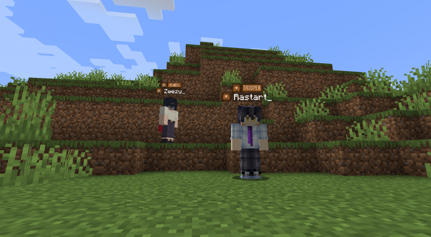 Rank Tags and Icons on Polymart - Minecraft Resource packs