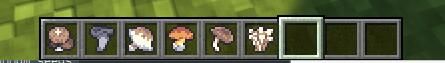 CustomCrops[MoreFungi] on Polymart - Minecraft Configurations