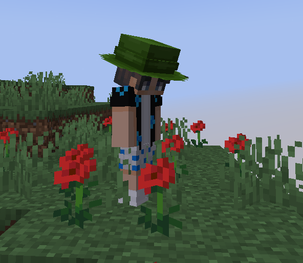 Hat Cosmetics v1 on Polymart - Minecraft Models