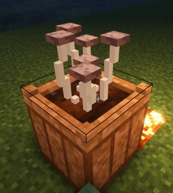 CustomCrops[MoreFungi] on Polymart - Minecraft Configurations