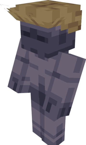 Wig Expansion On Polymart Minecraft Resource Packs