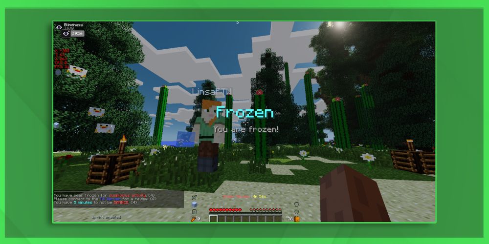 StaffModeX on Polymart - Minecraft Plugins